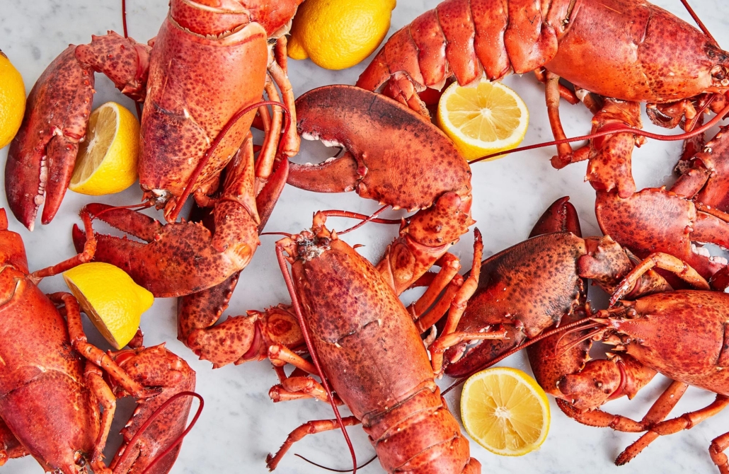 Slideshow of Nantucket Fish, Shellfish From Nantucket Seafoods