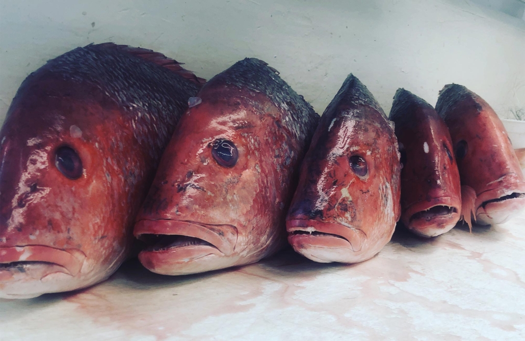 Slideshow of Nantucket Fish, Shellfish From Nantucket Seafoods