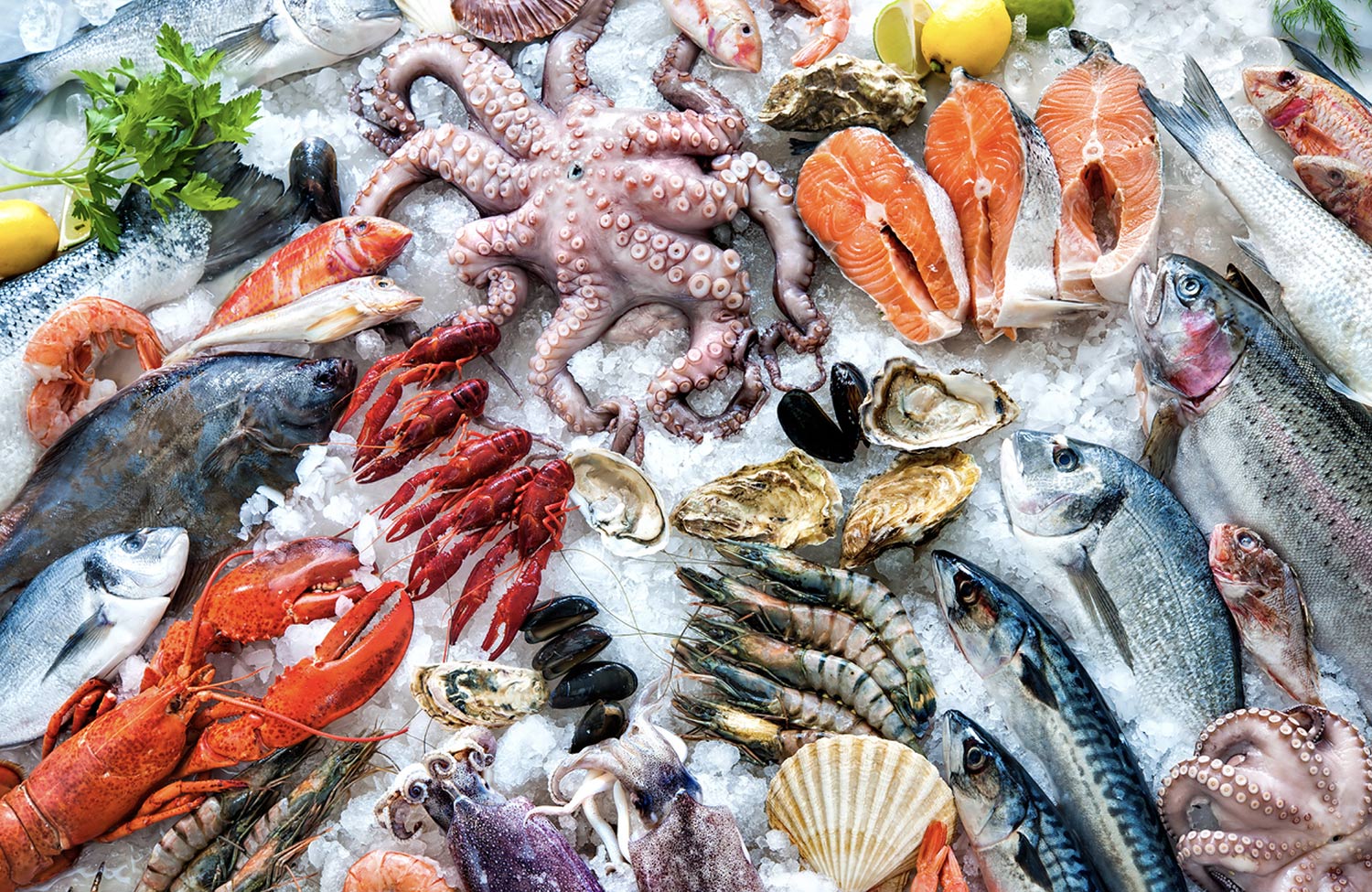 Nantucket Fish Market and Seafood at Nantucket Seafoods